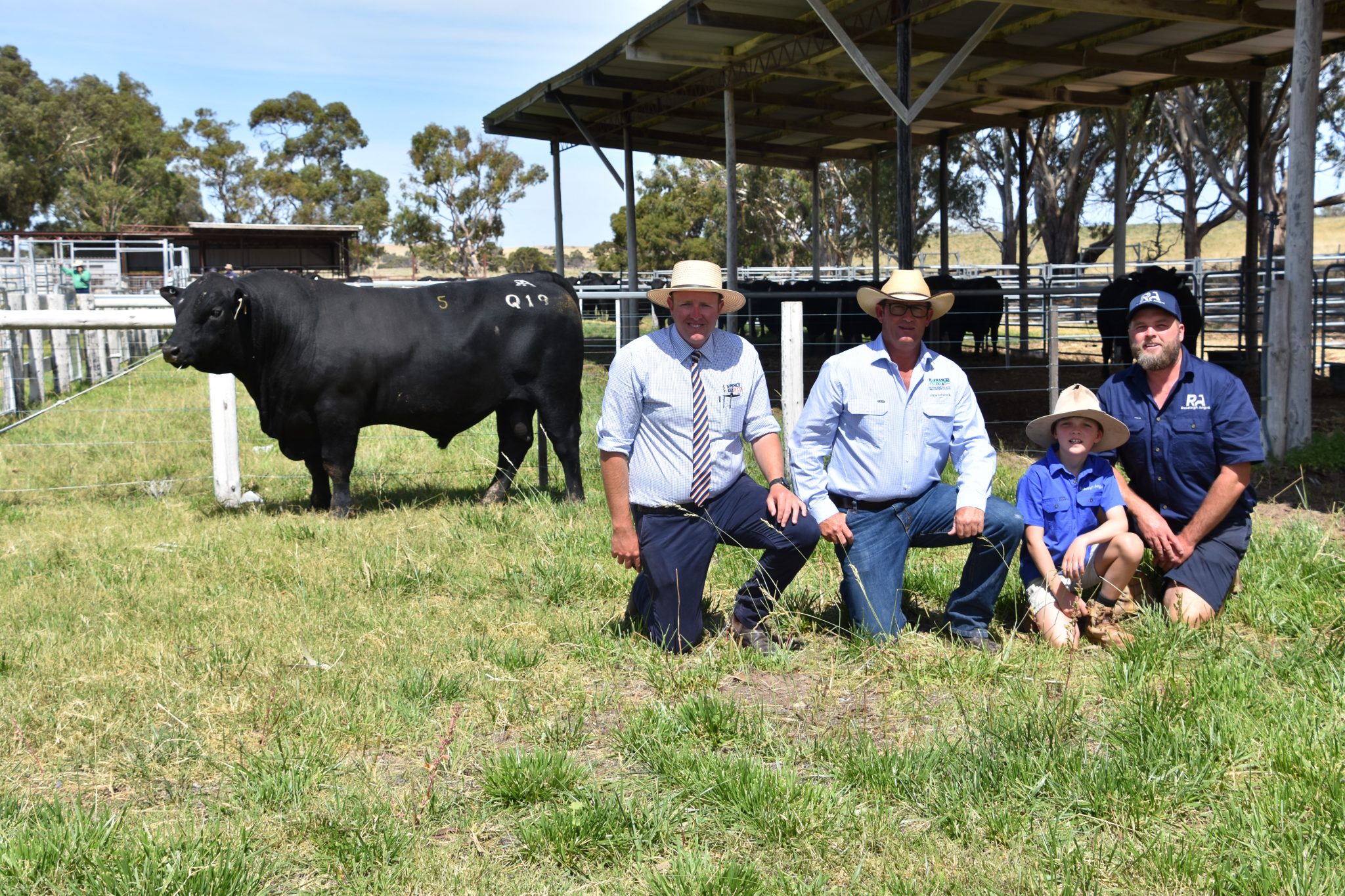 In The Media - Roseleigh Angus